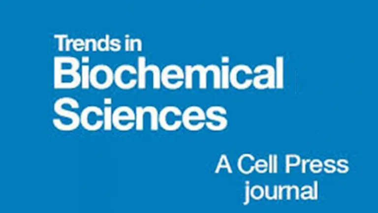 Sirtuin Regulation of Mitochondria – Energy Production, Apoptosis, and ...