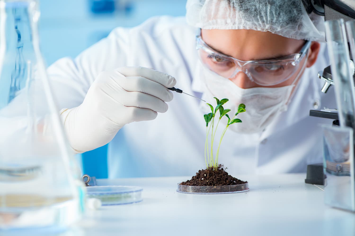 Gene Mutation Good Or Bad Genetic Mutation Genflow Gene Mutation Good Or Bad Genetic Mutation Genflow